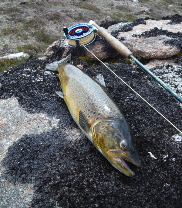 Assynt Fly Fishing